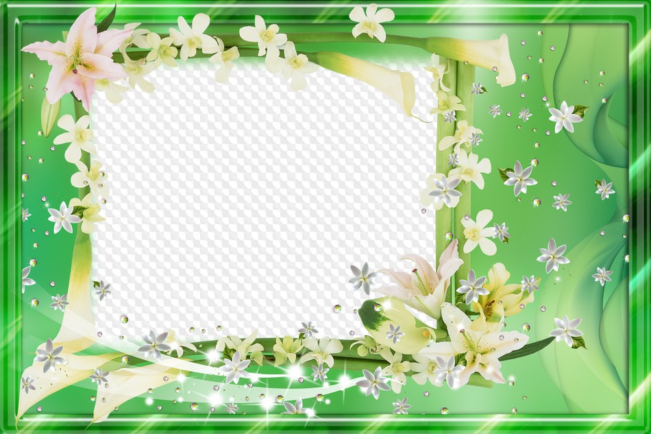 PNG Frames for Photoshop - Flower Cascade ( free 20 photo frames png ...