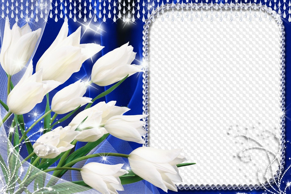 PNG Frames for Photoshop - Flower Cascade ( free 20 photo frames png ...