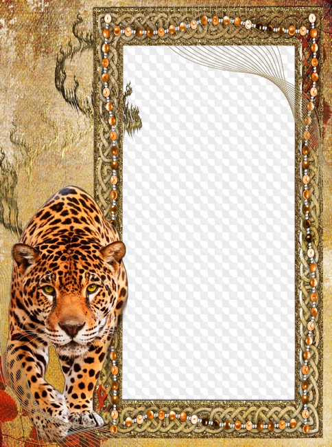 12 png photo frames with different animals - cats, dogs, bear, zebra ...
