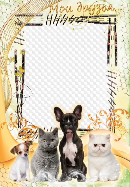 12 png photo frames with different animals - cats, dogs, bear, zebra ...