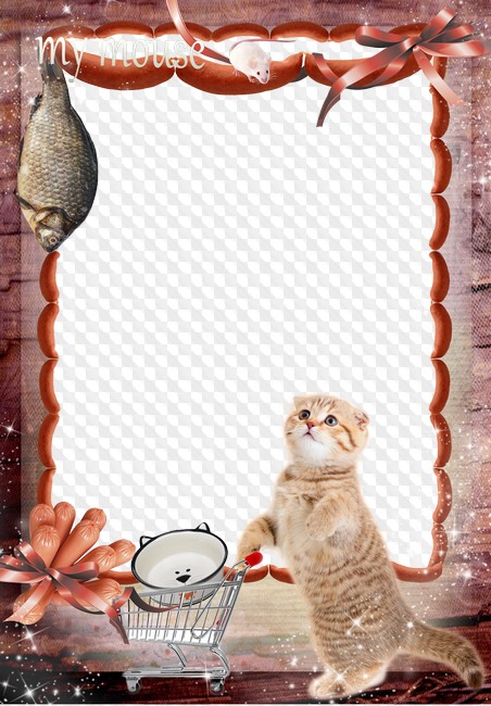 12 png photo frames with different animals - cats, dogs, bear, zebra ...