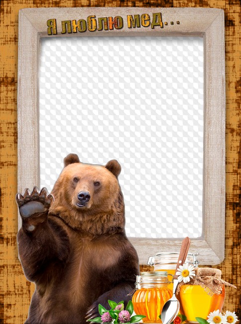 12 png photo frames with different animals - cats, dogs, bear, zebra ...