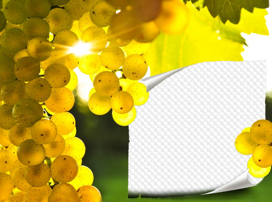 Autumn photo frames png download - free 15 Autumn frames png