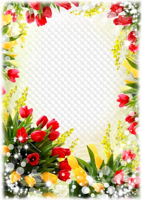 Set floral Photoshop frames, spring flowers - 7 Frames PNG