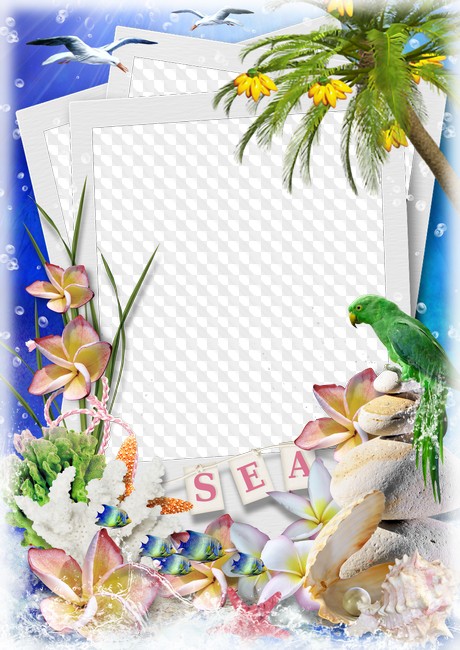 Summer sea frames download, 10 free png frames