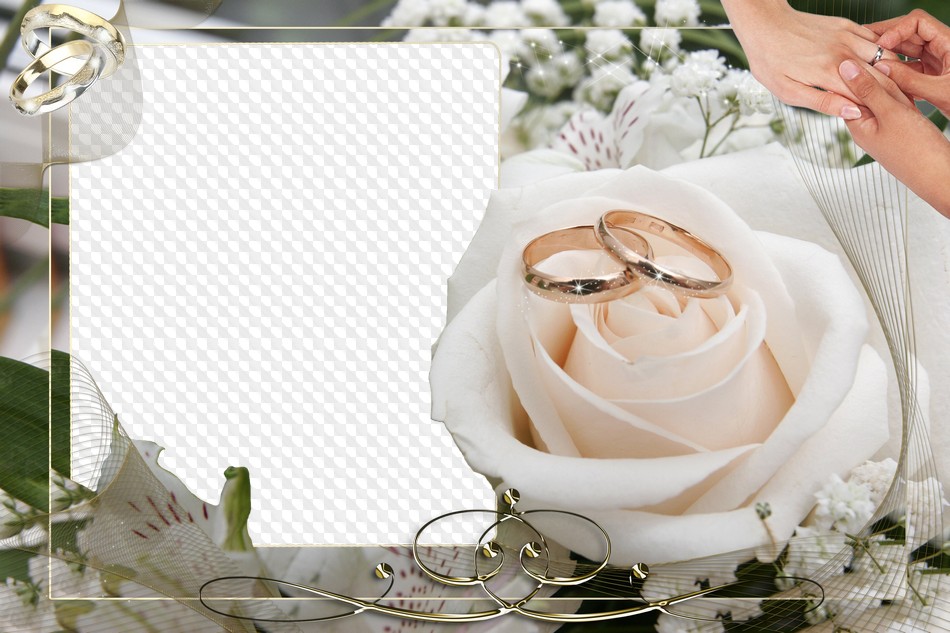Wedding frame background | Beachweddingtips.com