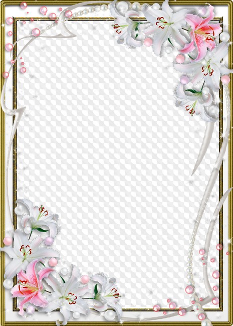 Frames for Photoshop - Flower Ball of all shades and colors