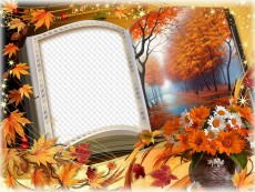 Open book, photo frame