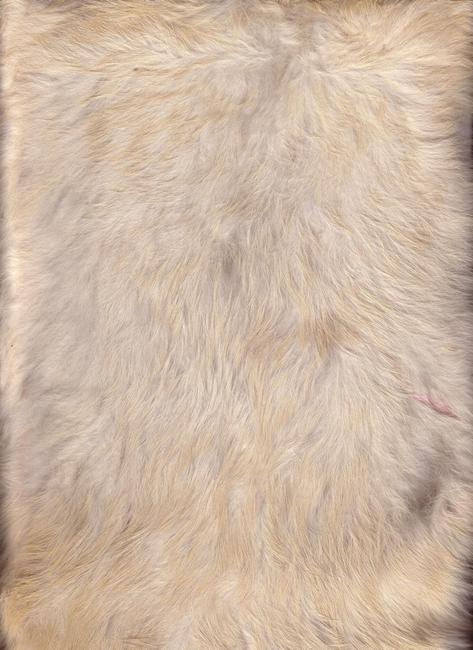 Photoshop Textures Fur - 11 JPG, 2909x4000 px - Download