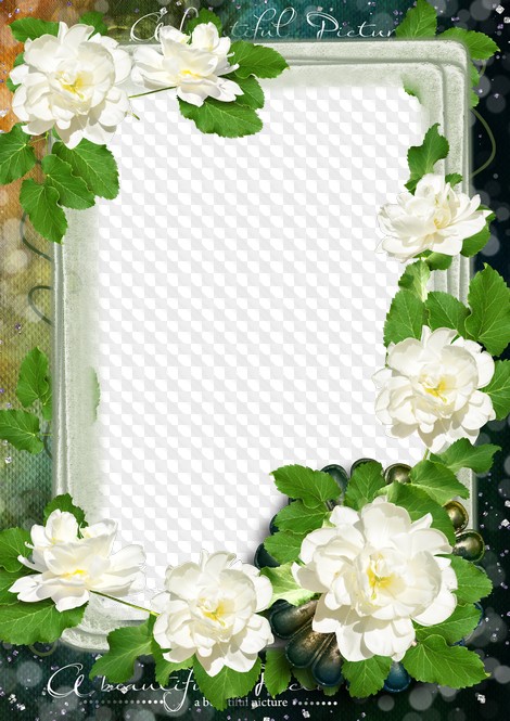 White roses for vintage photo, Photo frame