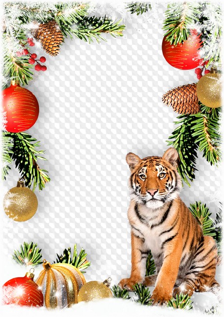 Tiger, Christmas photo frame with tiger. PNG, PSD.