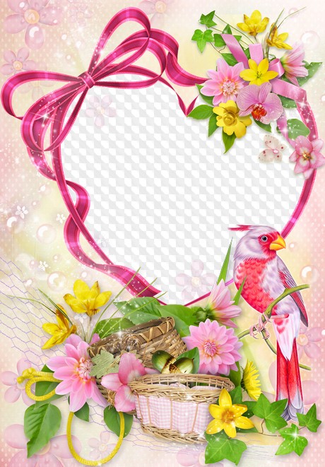 My Bird, photo frame PSD, PNG.