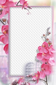 Free PSD Delicate photo frame PNG download with flowers and stars