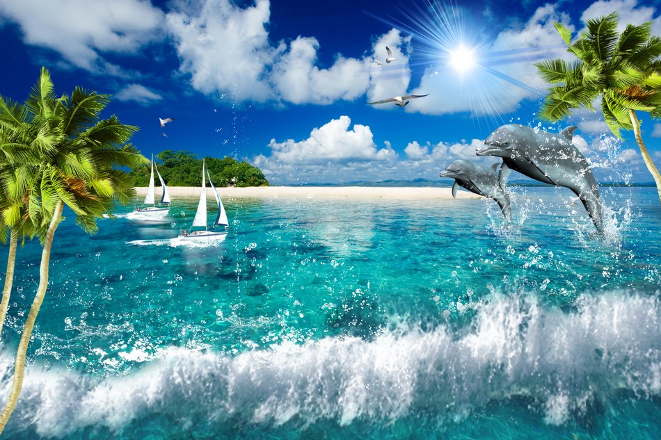Insel im Meer, Delfine, Palmen, Möwen und Yachten, PSD-Hintergrund JPG.