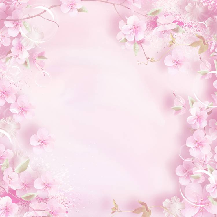 Pink backgrounds for photo albums and presentations