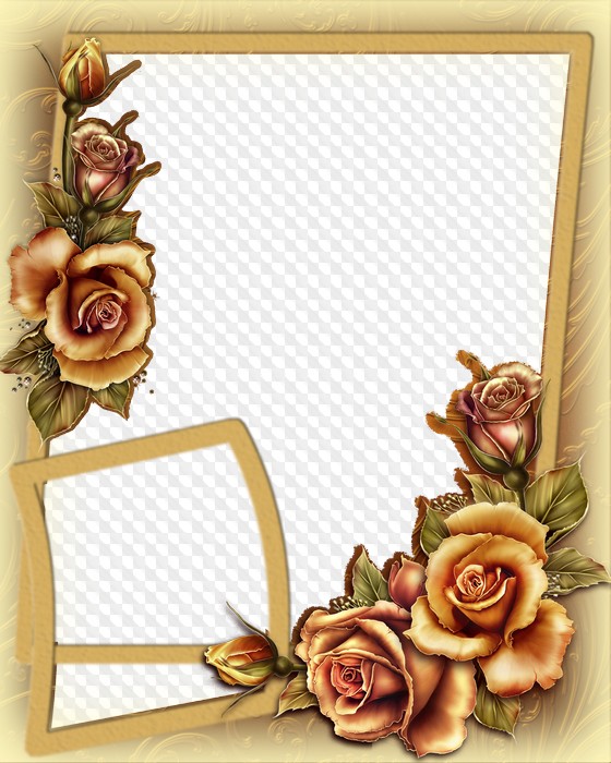 Delicate roses, Delicate photo frame. Transparent PNG Frame, PSD ...