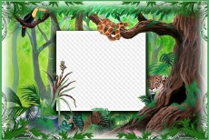 Children frame for Photoshop - Jungle. Transparent PNG Frame, PSD ...