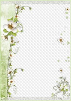 Frame - Spring Tenderness