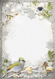 Winter frame psd template bullfinch in winter forest - Free download
