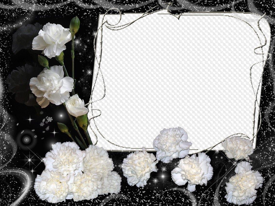 Marcos de flores, 8 marcos PNG para la foto