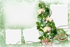 Wedding Frames for Photoshop. Transparent PNG Frame, PSD Layered Photo ...