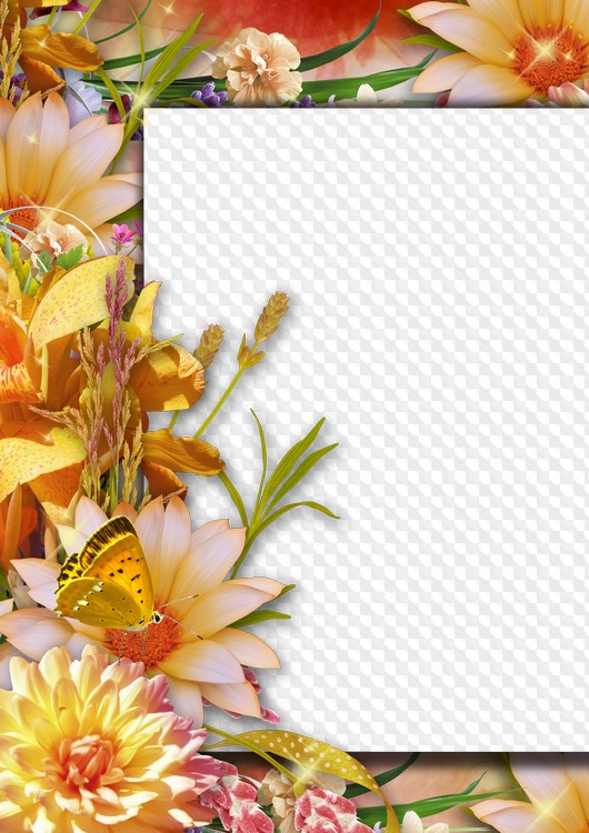 Flowers, Collection of PNG frames with flowers.