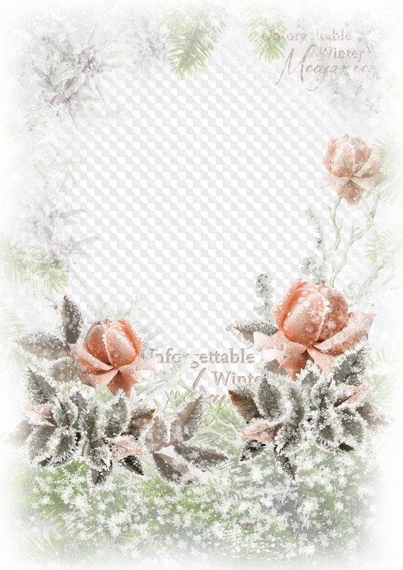 2024 Romantic Calendar photo frame, Winter roses Kalender für Photoshop.