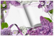 Книга рамки png, psd