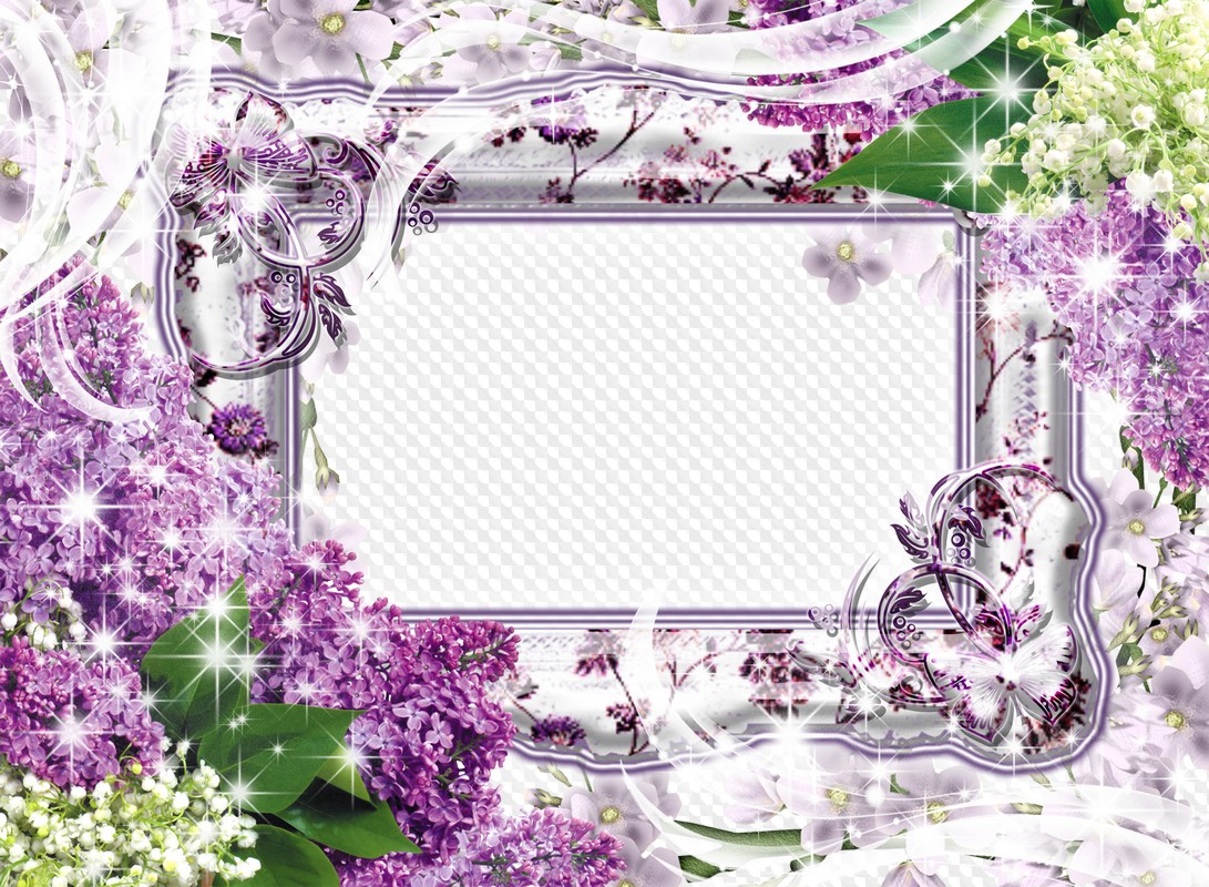 Коллекция фоторамок с цветами PNG