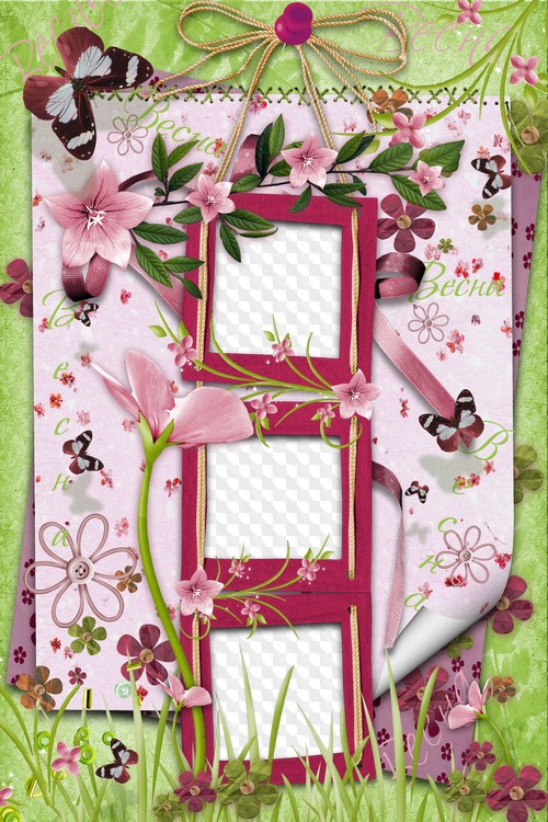 Nature Frame for Photoshop Spring bliss