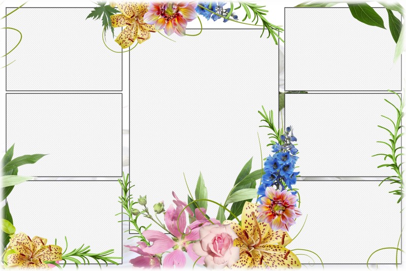 Seven photos, photo frame collage for the whole family, PSD.