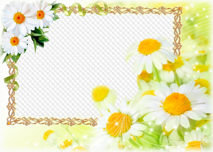 Spring Daisies Photo Frame PSD Template