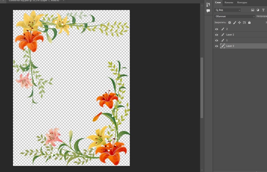 Photo frame - Colourful lily