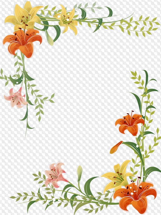 Photo frame - Colourful lily