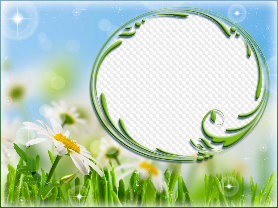 Children summer photo frame psd template with green grass and daisies