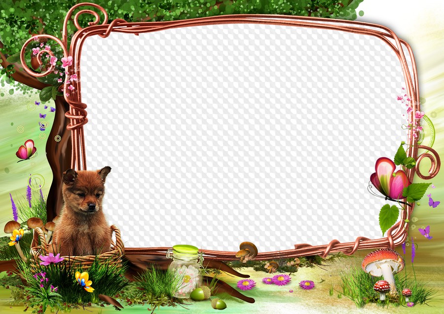 Children photo frame template download - free frame psd free 4 frame png