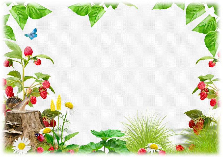 Berry raspberry photo frame