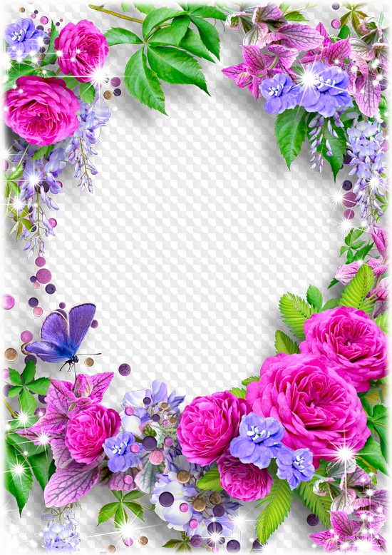 Beautiful roses, natural flowers, wonderful photo frame template, PNG, PSD.