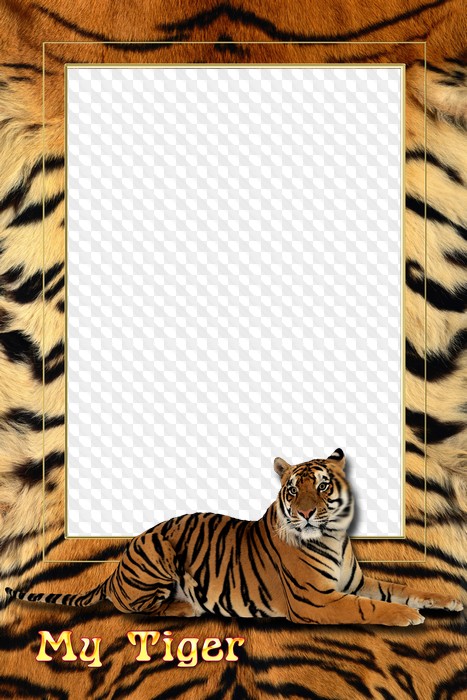Stylish Photo Frames - For Respectable Men