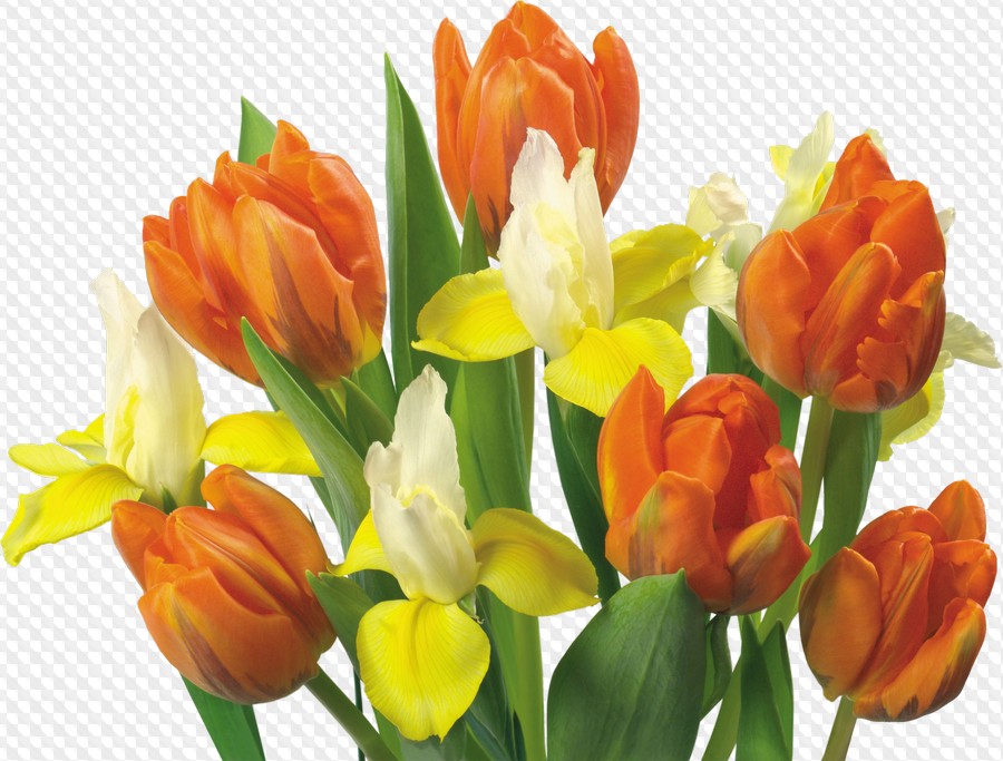 15 PNG, Spring Flowers, Spring Flower Bouquets, images with transparent ...