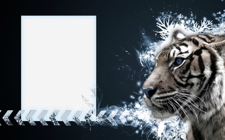 Desktop Hd Framed Tiger