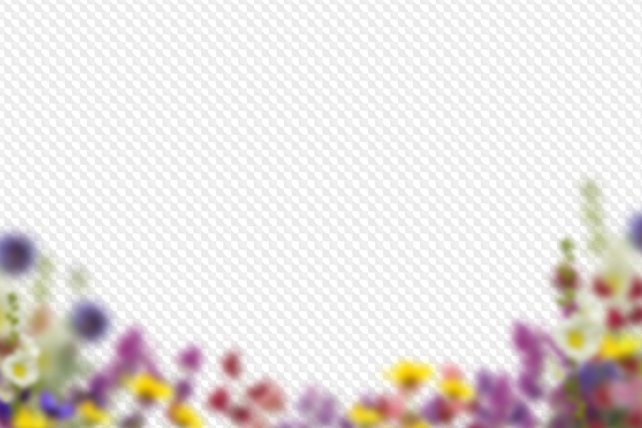 Flowers PNG, Overlays with flowers PNG