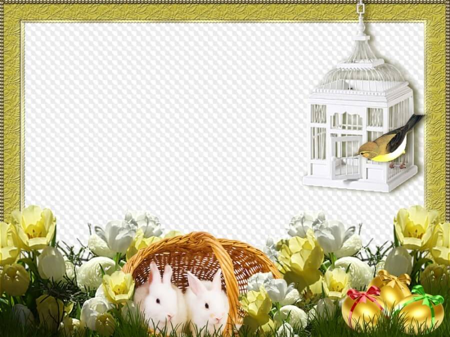 Happy Easter! Collection of 20 PNG photo frames.
