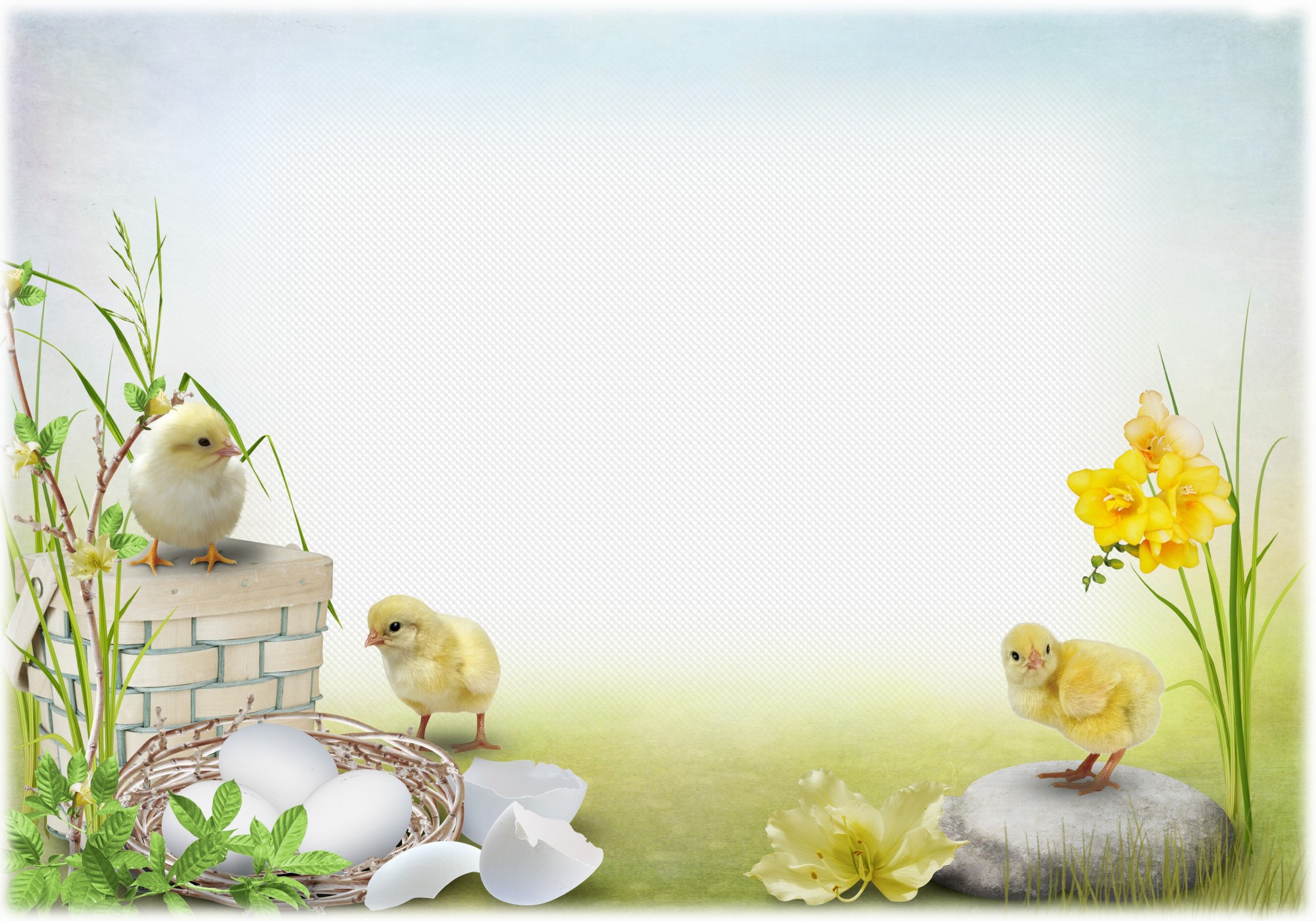 Two gentle spring frame with chickens