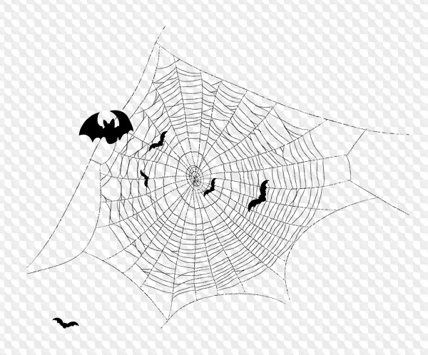 Cobwebs PNG, Spider web PNG.