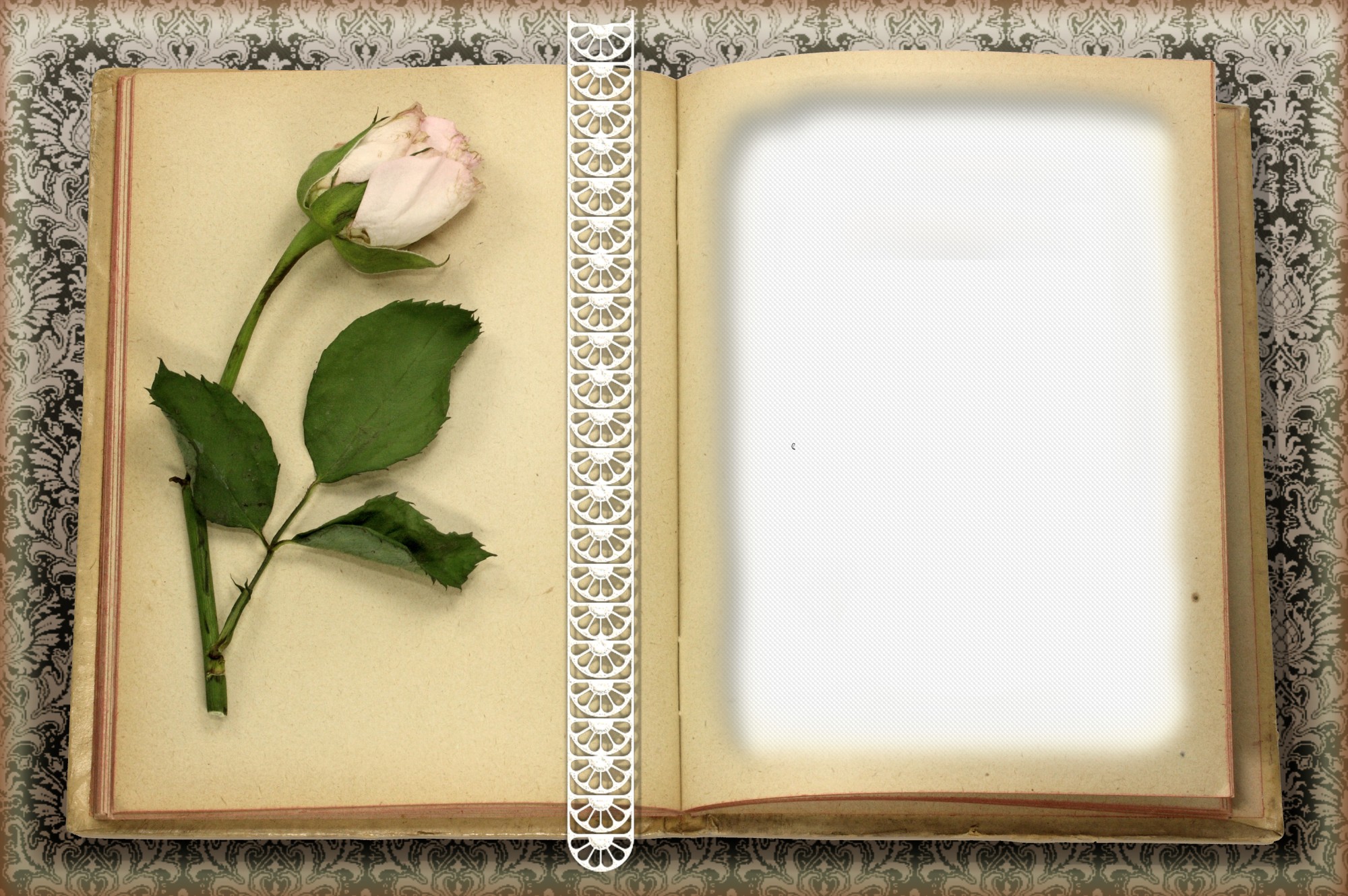 Vintage photo frames, open book