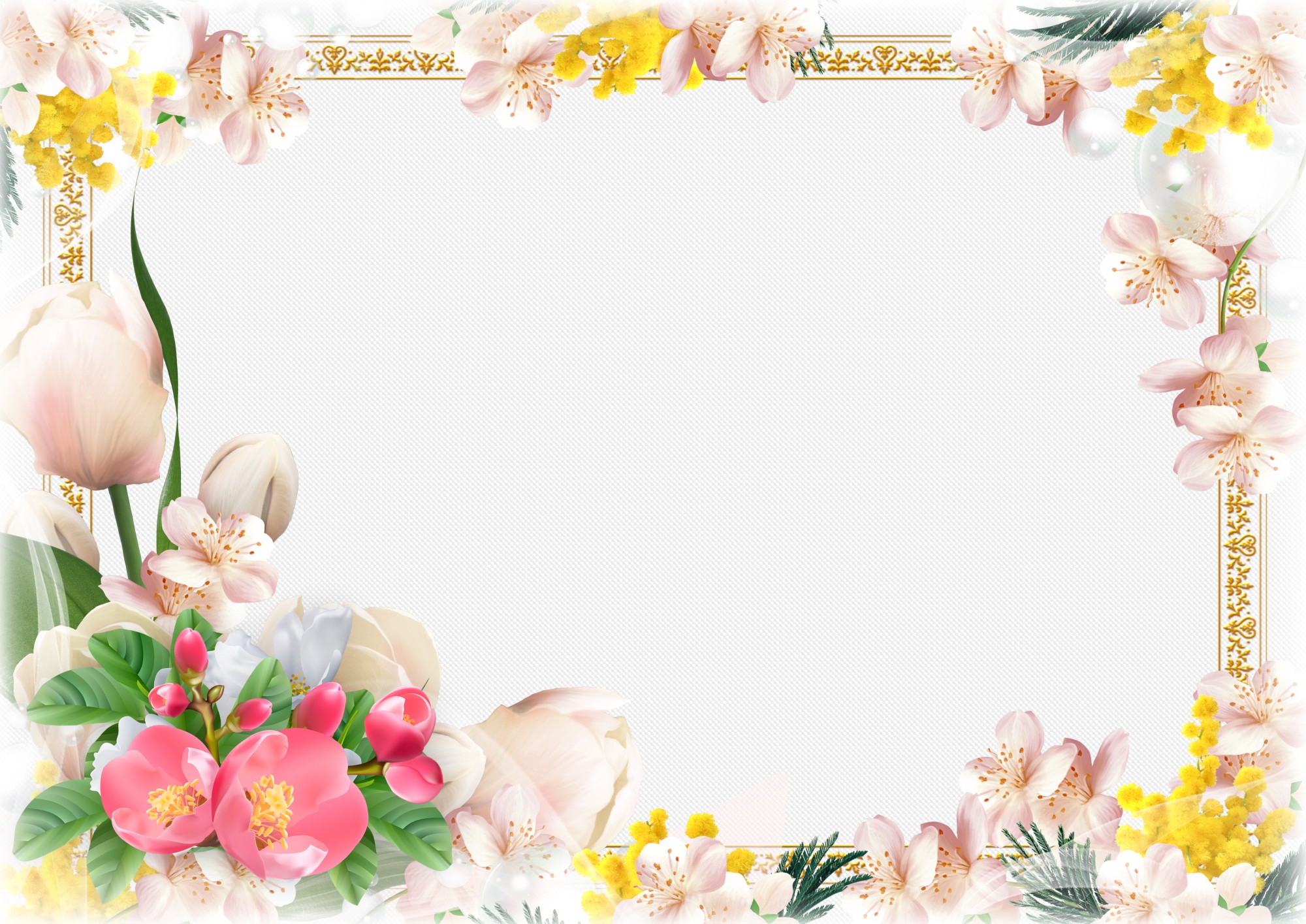Spring flowers, photo frame.