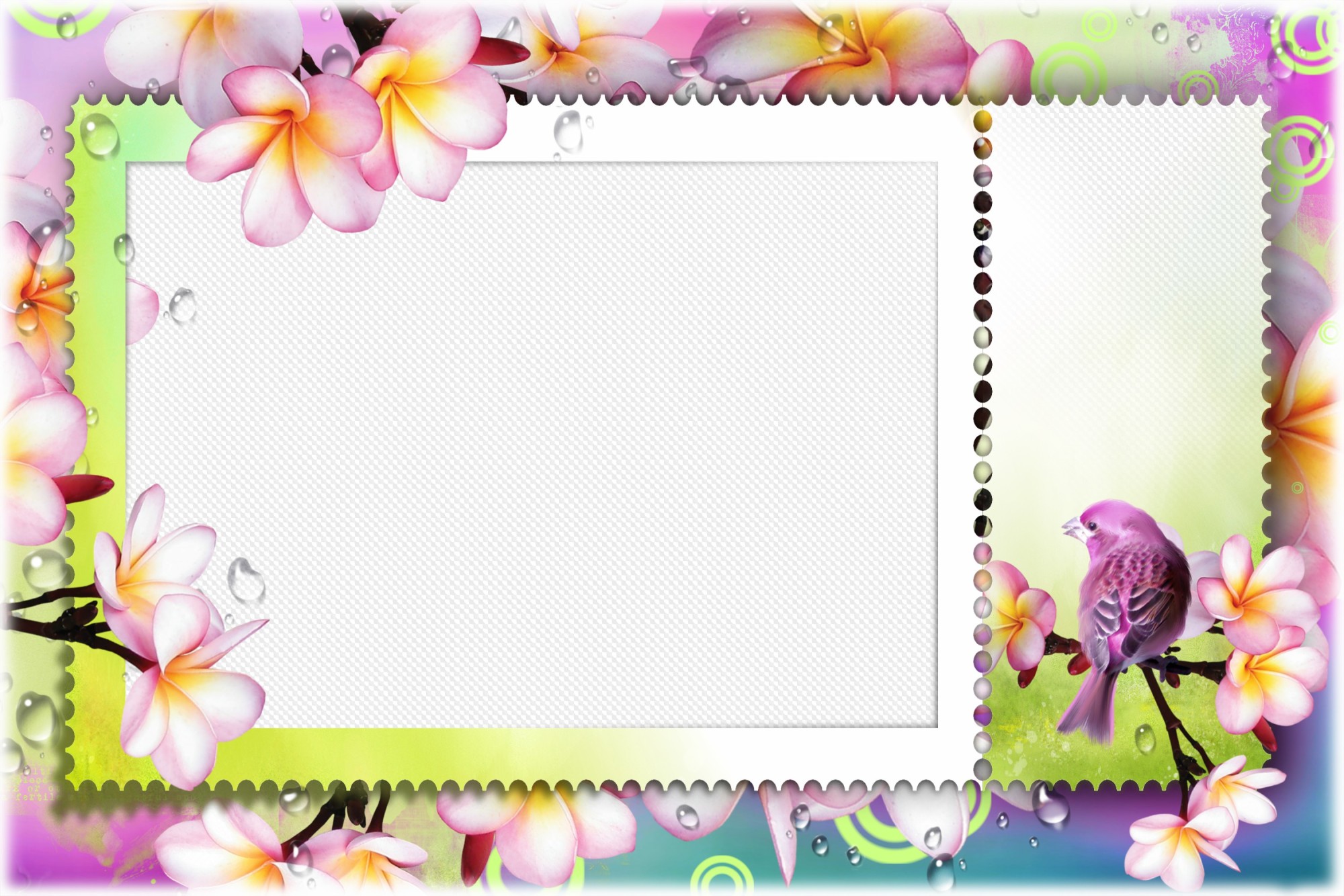 Spring photo frame