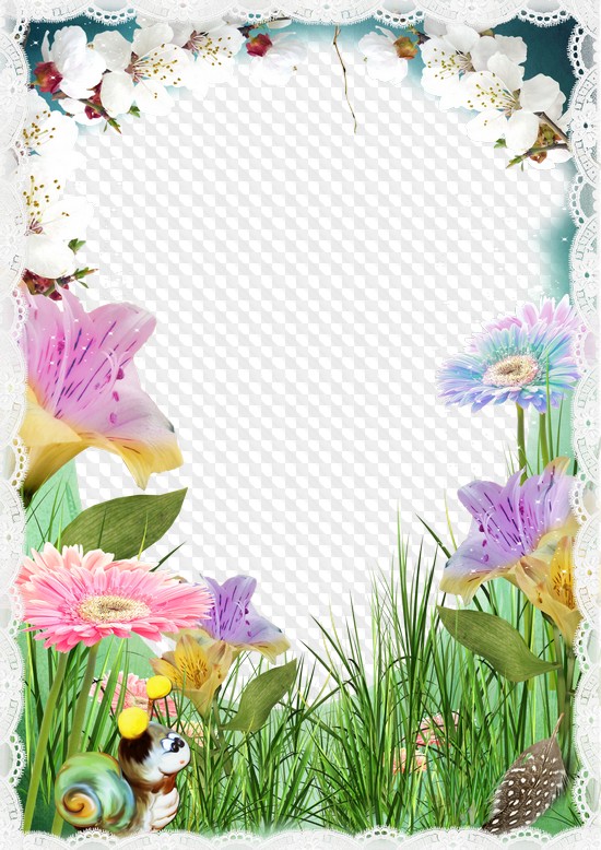 Easter, spring, frame PNG, photo frame PSD