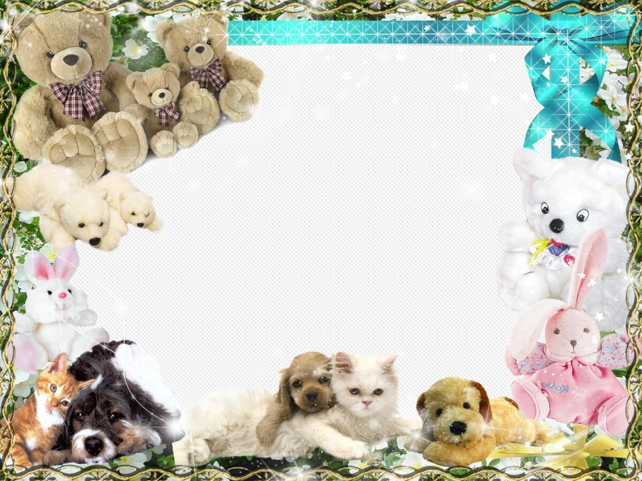 Photo frames with kittens and puppies